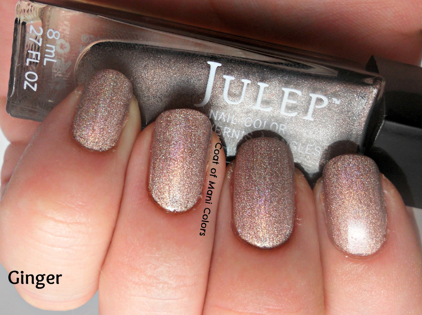 Coat of Mani Colors: Julep Feb. Box Part 2 - Finally!