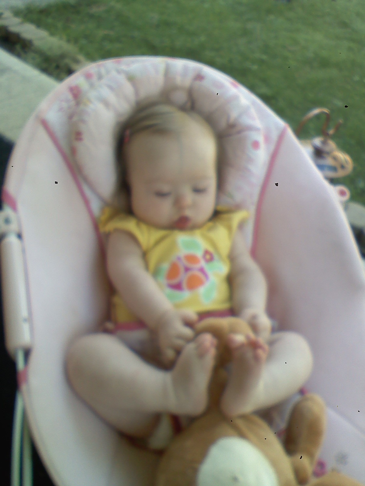 My Liddy Bug: Frustration Central