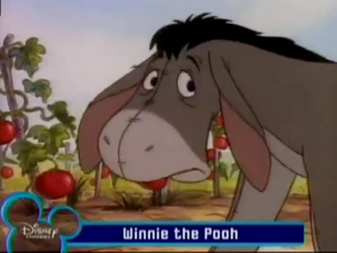 The New Adventures of Winnie The Pooh: Eeyi Eeyi Eeyore Part 1