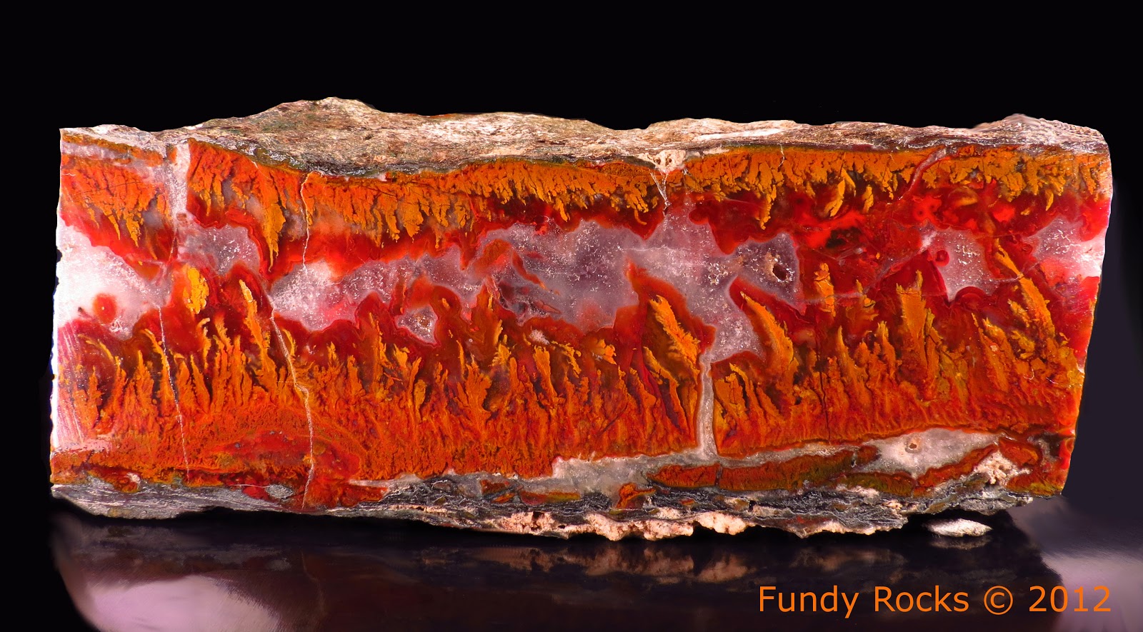 Fundy Rocks Journal: The King of Fundy Agates: Golden Flame Agate.