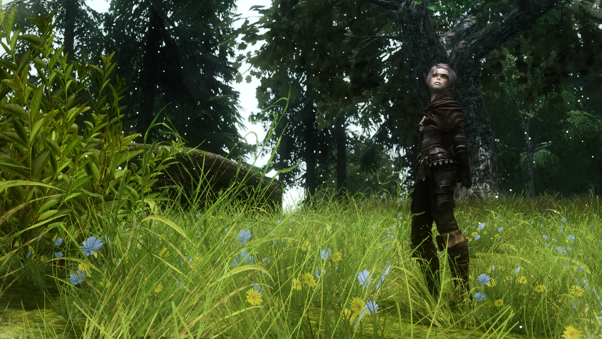 The Lily - Armour Mashup UUNP (Idye)