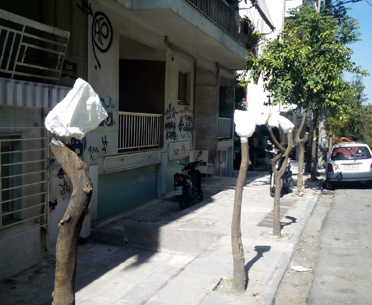 ΡΙΖΟΣΠΑΣΤΙΚΗ ΕΝΩΤΙΚΗ ΚΙΝΗΣΗ ΒΥΡΩΝΑ