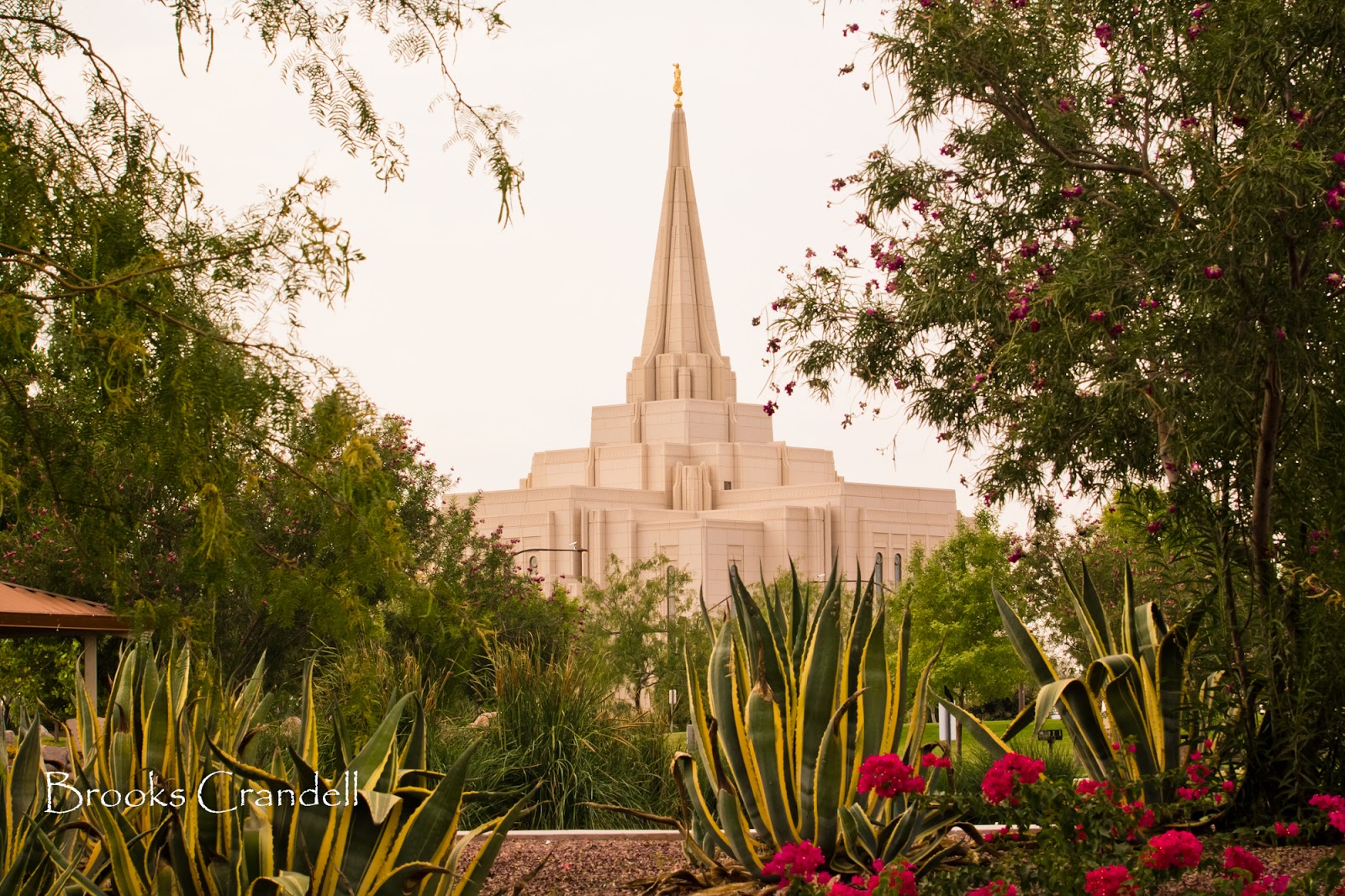 Gilbert LDS Temple: Summer Morning