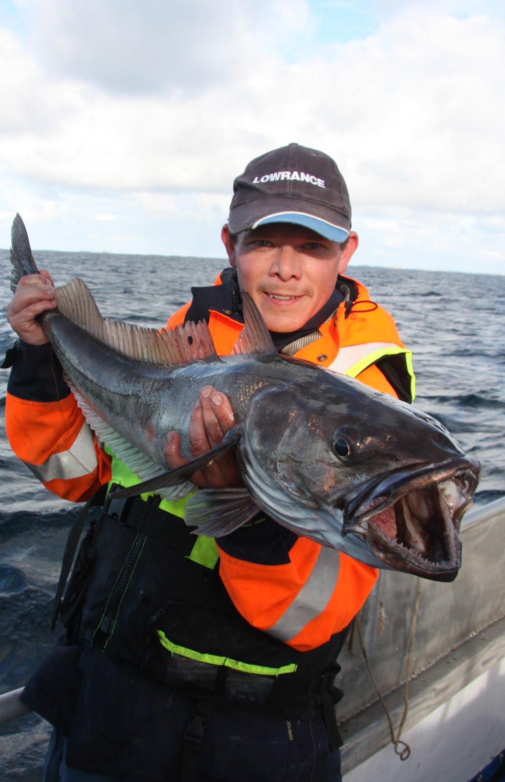 Team Isola: Kummel!!