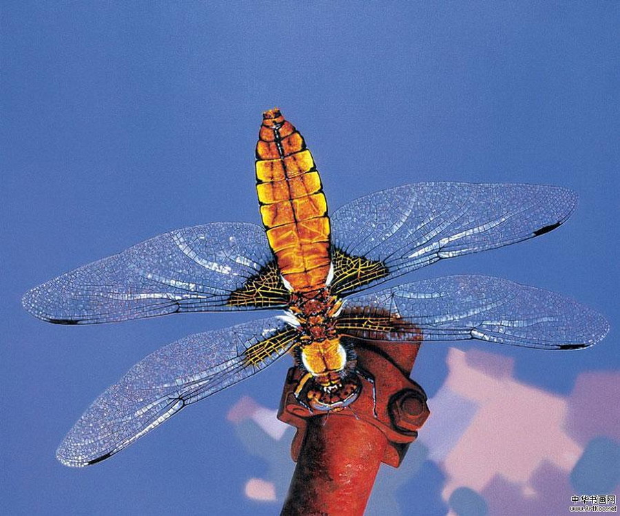 Historia y evolución de la pintura artística : Libelulas y Mariposas en ...