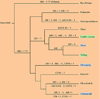 Bit Tooth Energy: From Cro-Magnon man to Celt