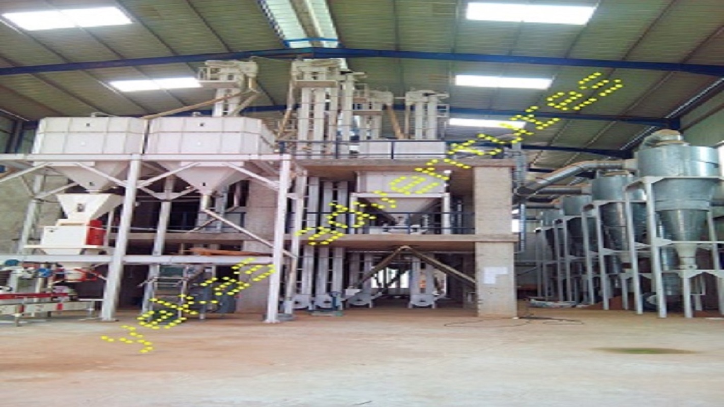 YEKA'S ADVENTURES: RICE FARMING IN ABAKALIKI