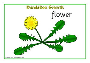 Min blogg om allt mellan himmel och jord: Gratis material till barn ...