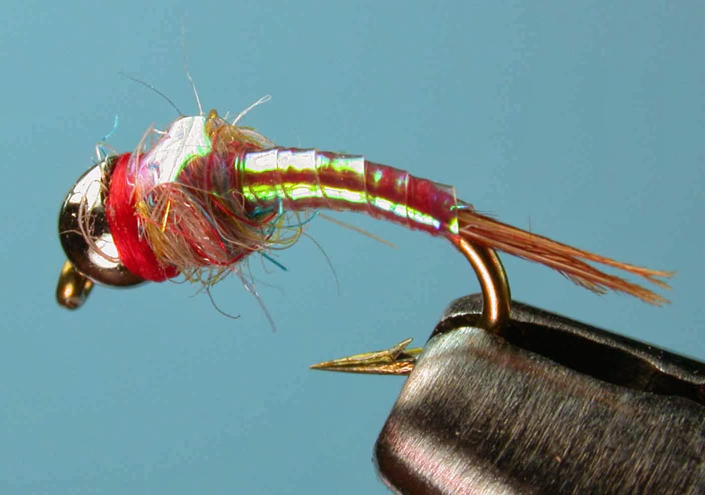 Willamette Valley Flies: What is a Lightning Bug?