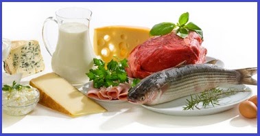 Pengertian Protein, Jenis Protein, Rujukan Dan Fungsi Protein - Aline ...