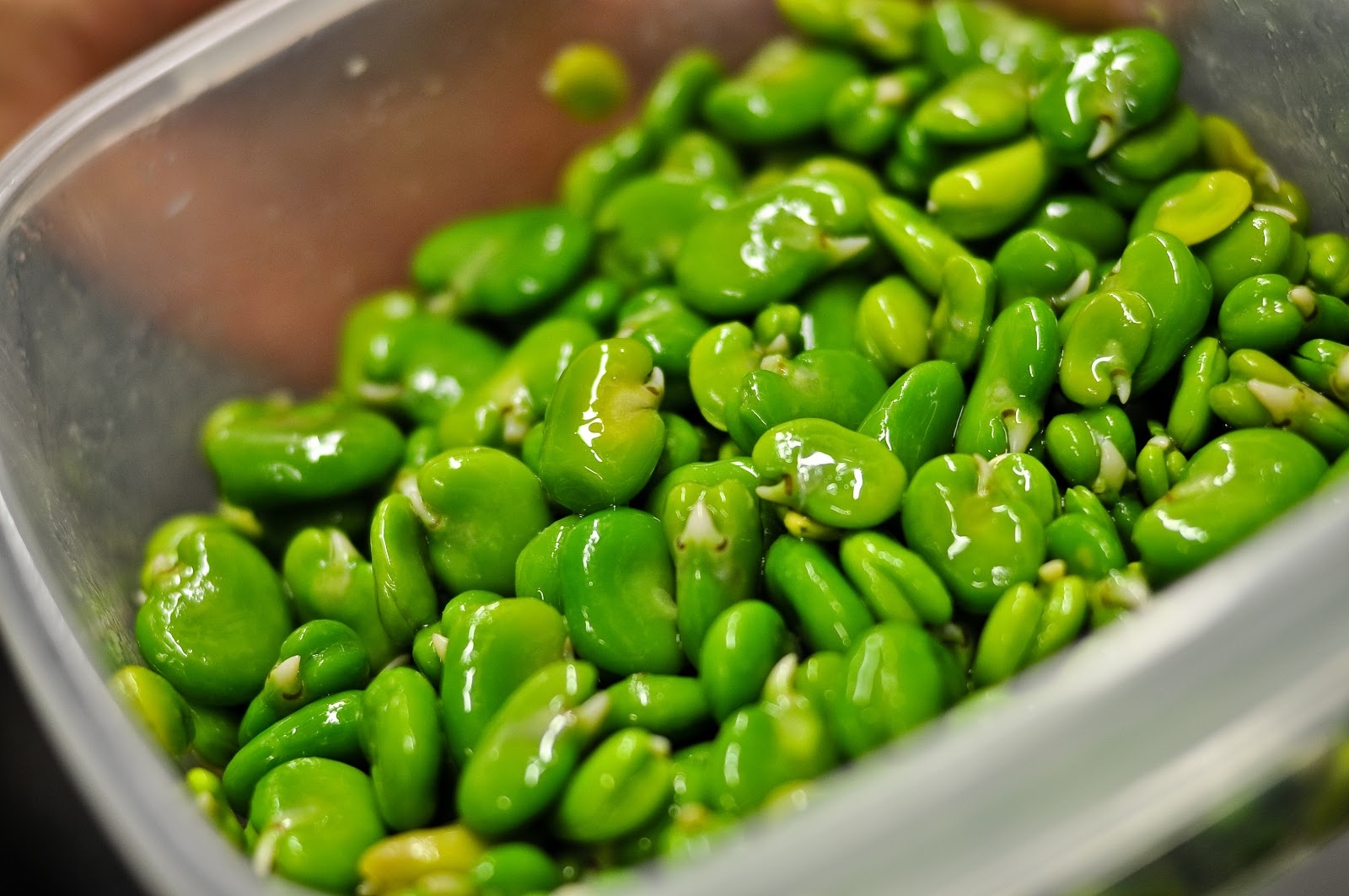 Desde Tallo: Tallo Verde en GAJO Cocina Origen