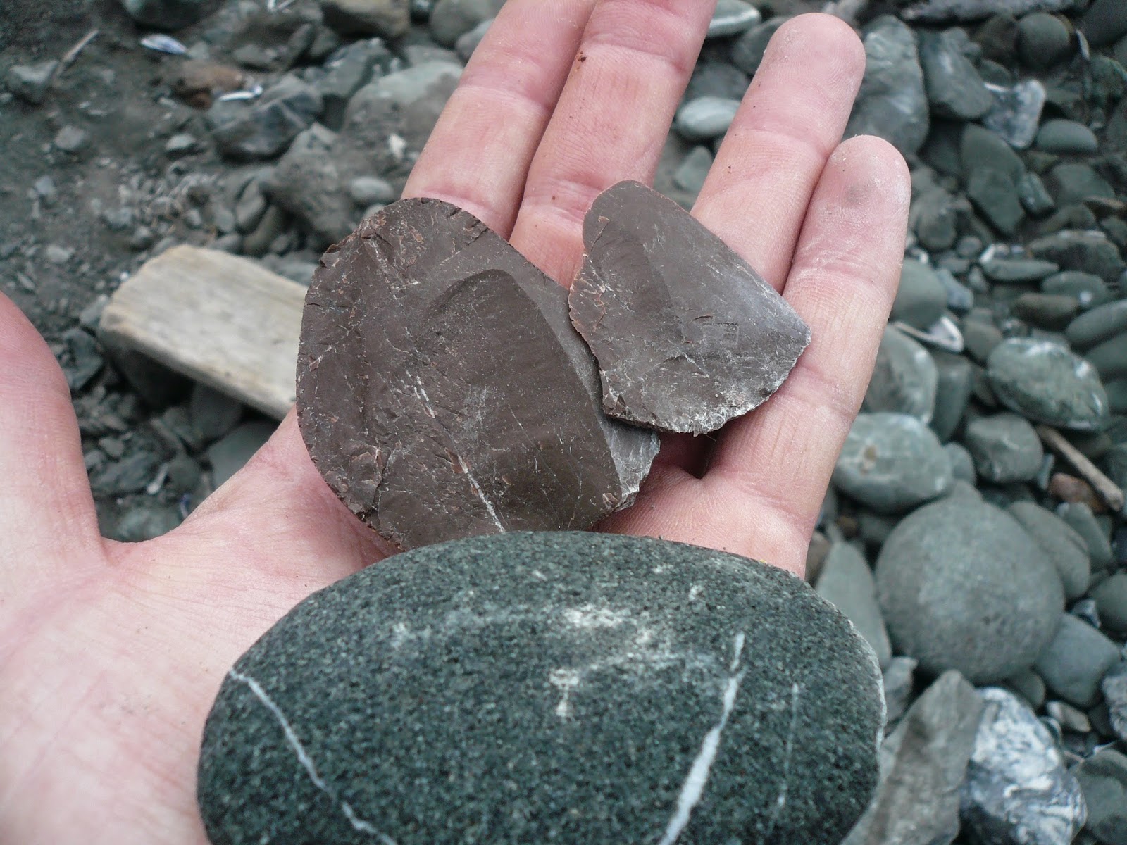 Countryman: Foraging California's Wild Side: Lean-to on the North Coast