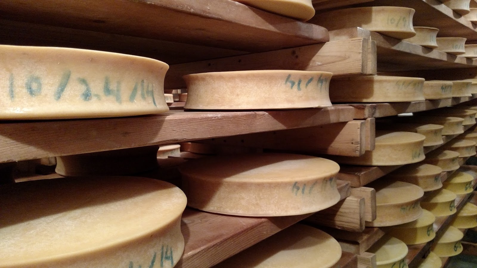 A Visit to Thistle Hill Farm