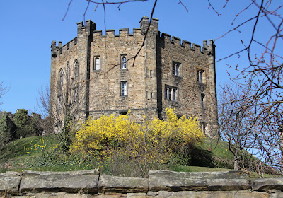 Torwen's Blog: Where the wild things are - a visit to Durham