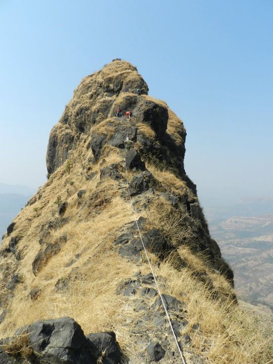 Hopeless Hopping: Lingana - The Complete adventure