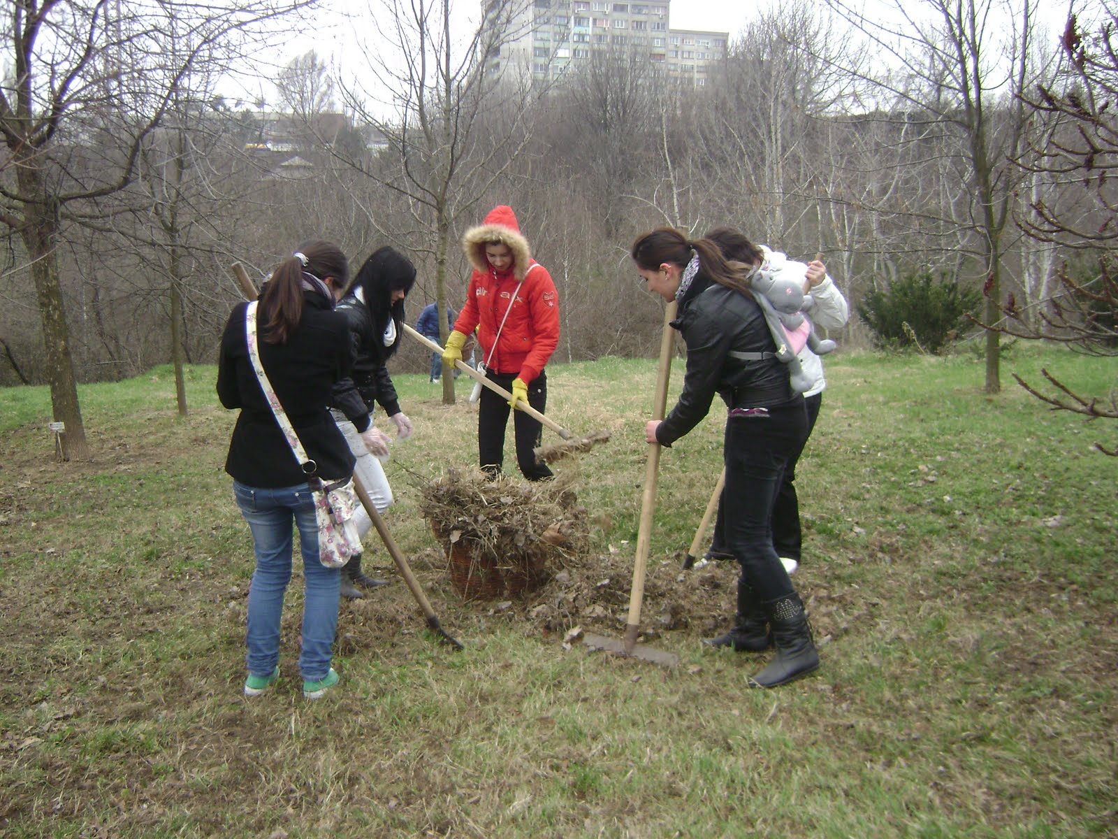MUGUR-VERDE ECO CLUB: Curatarea parcului din Gradina Botanica
