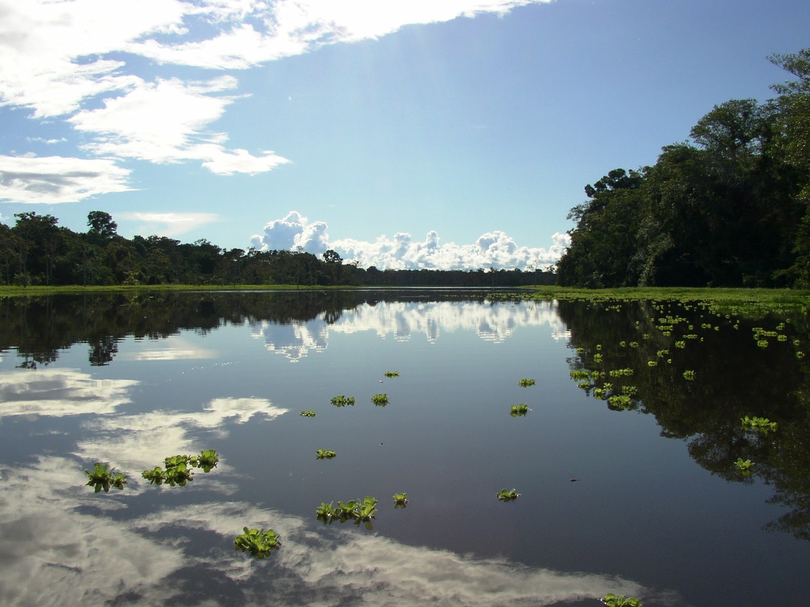 TIPISHCA: ABRIL EN LA REGIÓN OMAGUA