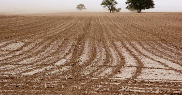 INTA Castelar recomienda analizar los suelos | Somos Campo