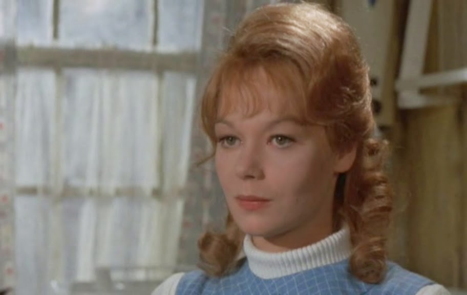 Zebradelic: December 2014