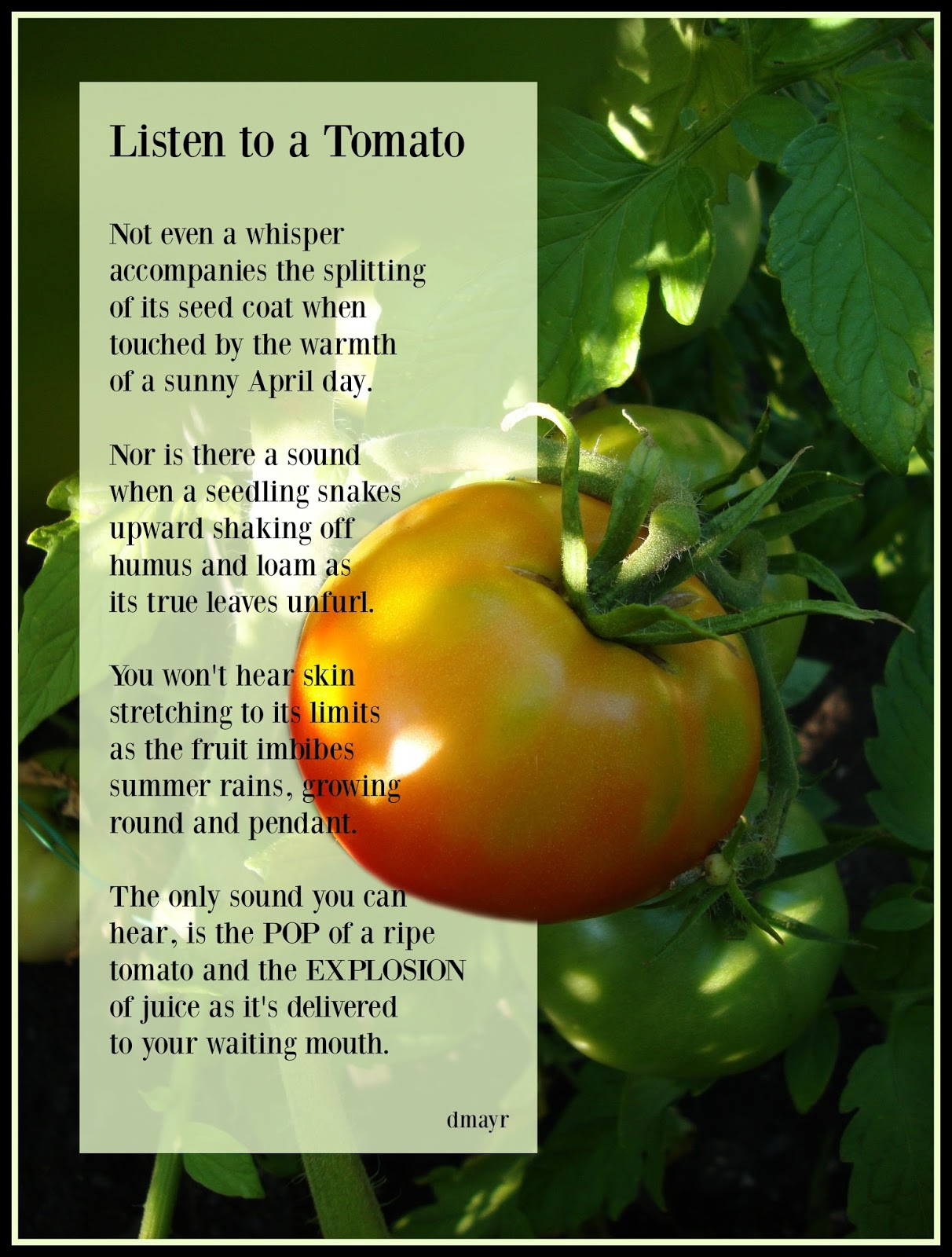 Random Noodling: Poetry Friday--Found Object Poems