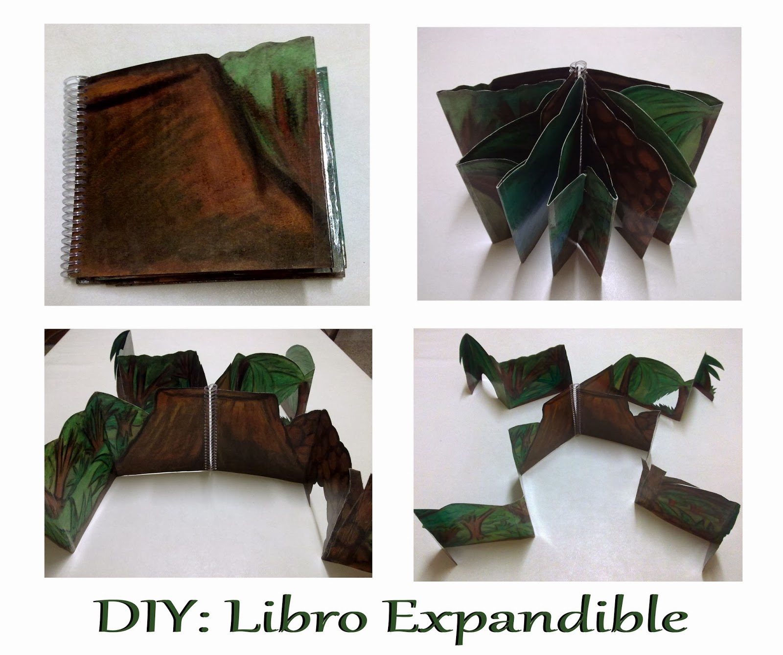 DIY: Libro Expandible