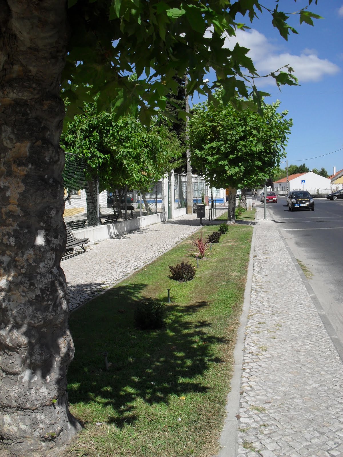 Fazer por Salvaterra, Fazer por Todos Nós: ZONAS VERDES DE MARINHAIS ...