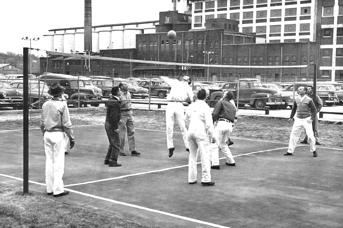 Sagrado Voley: Introduccion al voley