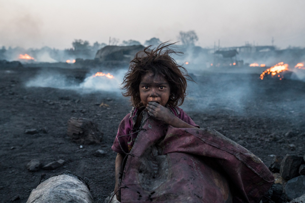 Human Beings are Destroying Life on Earth but Deluding Ourselves that ...