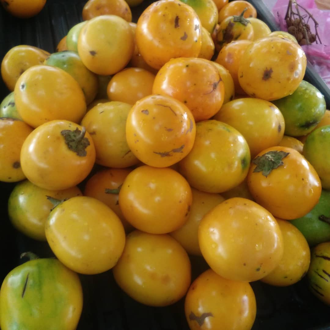 Beautiful Lie in a Beautiful Life: Terung asam, bunga kantan, umbut ...