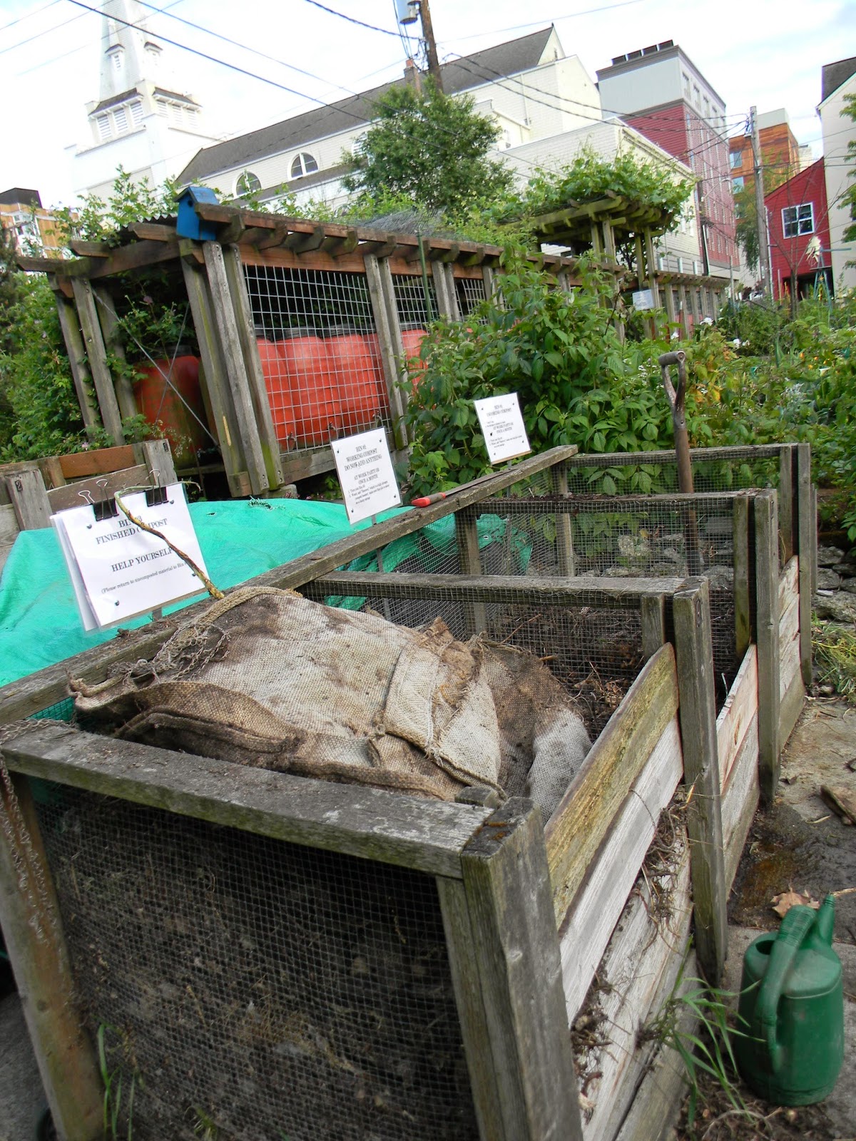 Cascade P-Patch Community Garden: P-Patch Work Party