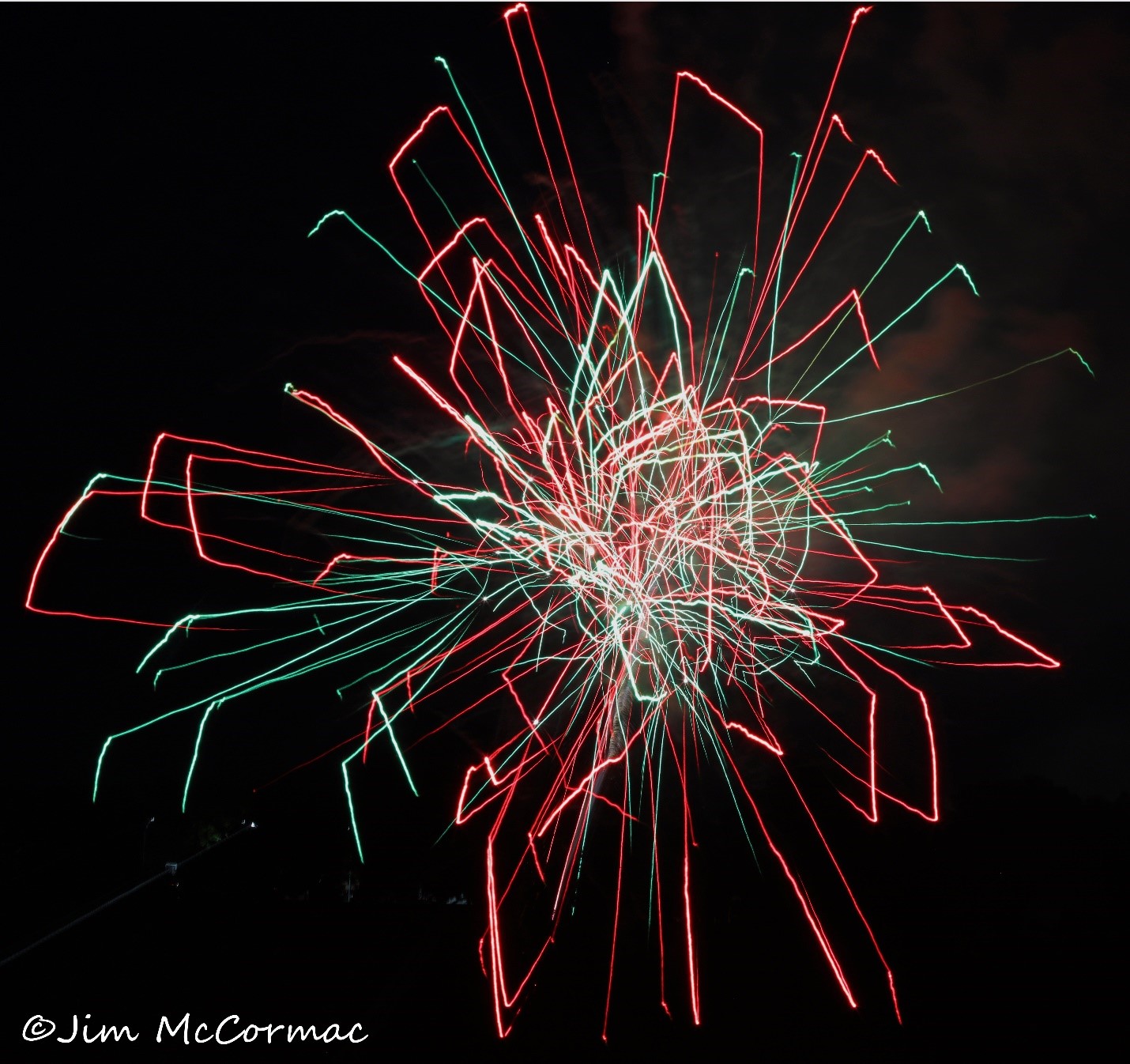 Ohio Birds and Biodiversity: Fireworks as Art