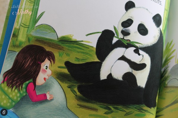 La bibliothèque de Mathy: Bravo, Petit Panda ! - Les animaux de Lou ...