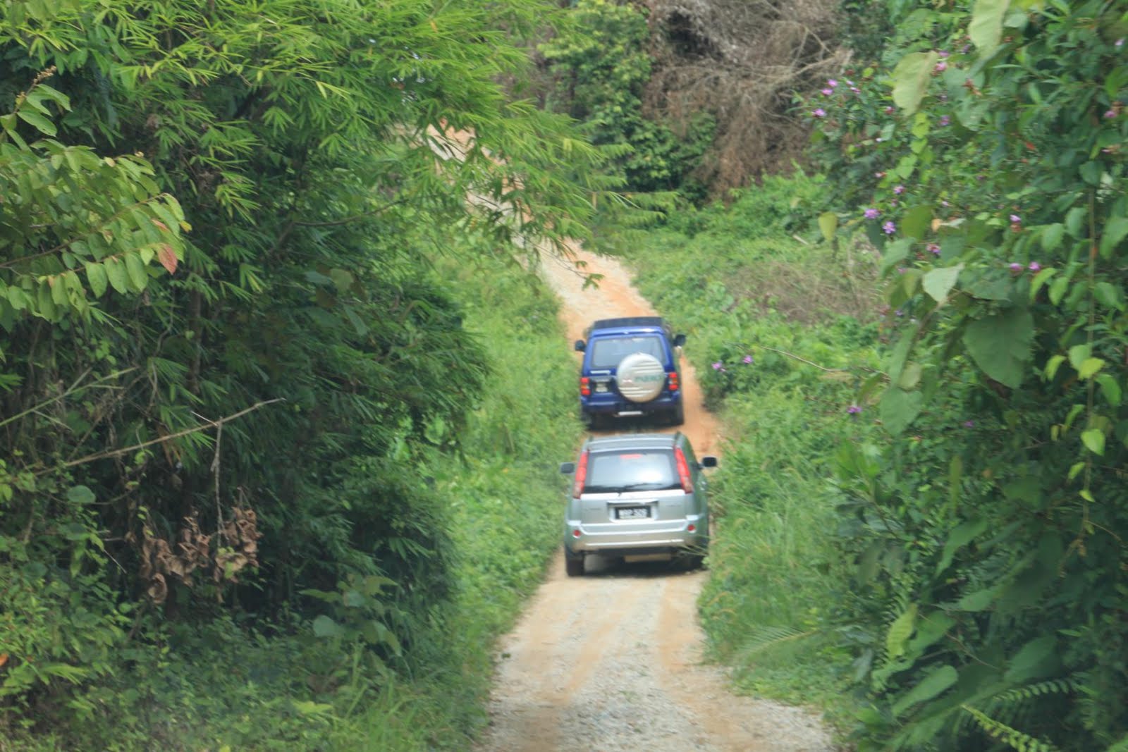 YB DATUK MOHD TAJUDIN ABDULLAH: Lawatan ke Ladang Lada Hitam/Putih oleh ...