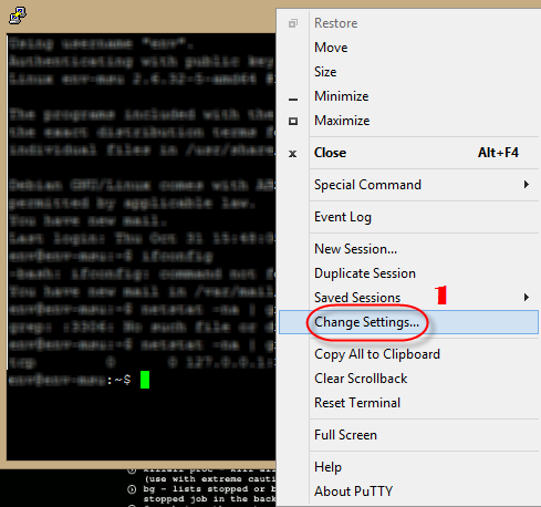 WeB LoG'S JuUiER: Tunnelling VNC remote Over SSH on Windows via putty