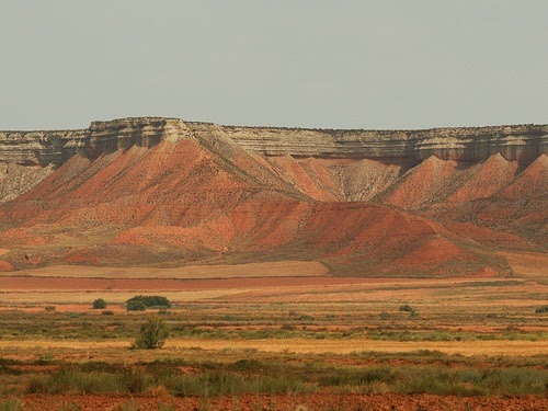 ESTEPA | Ecosistemas Aragoneses