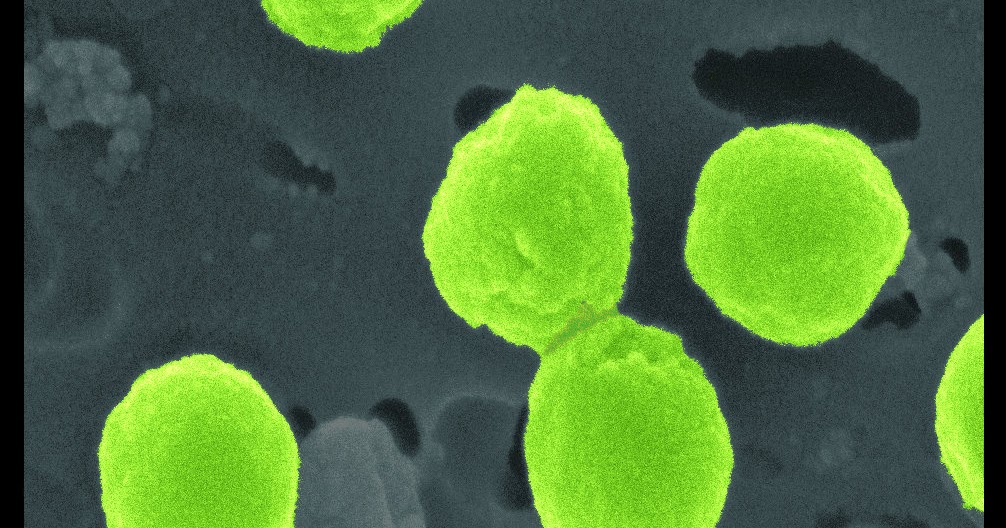 In science we have to trust