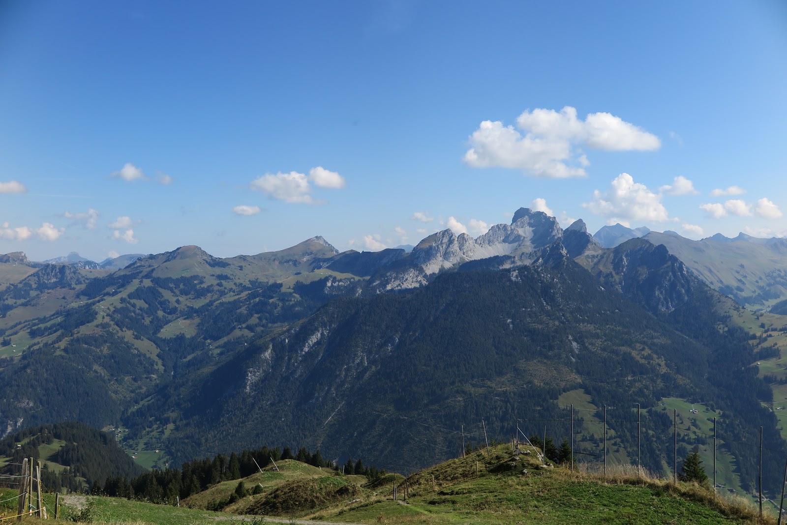 Schwarze Pfoten: Premium Panoramaweg - Rinderberg