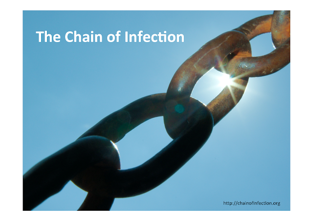 The Fantastic World of Microbiology and Parasitology: Breaking the ...