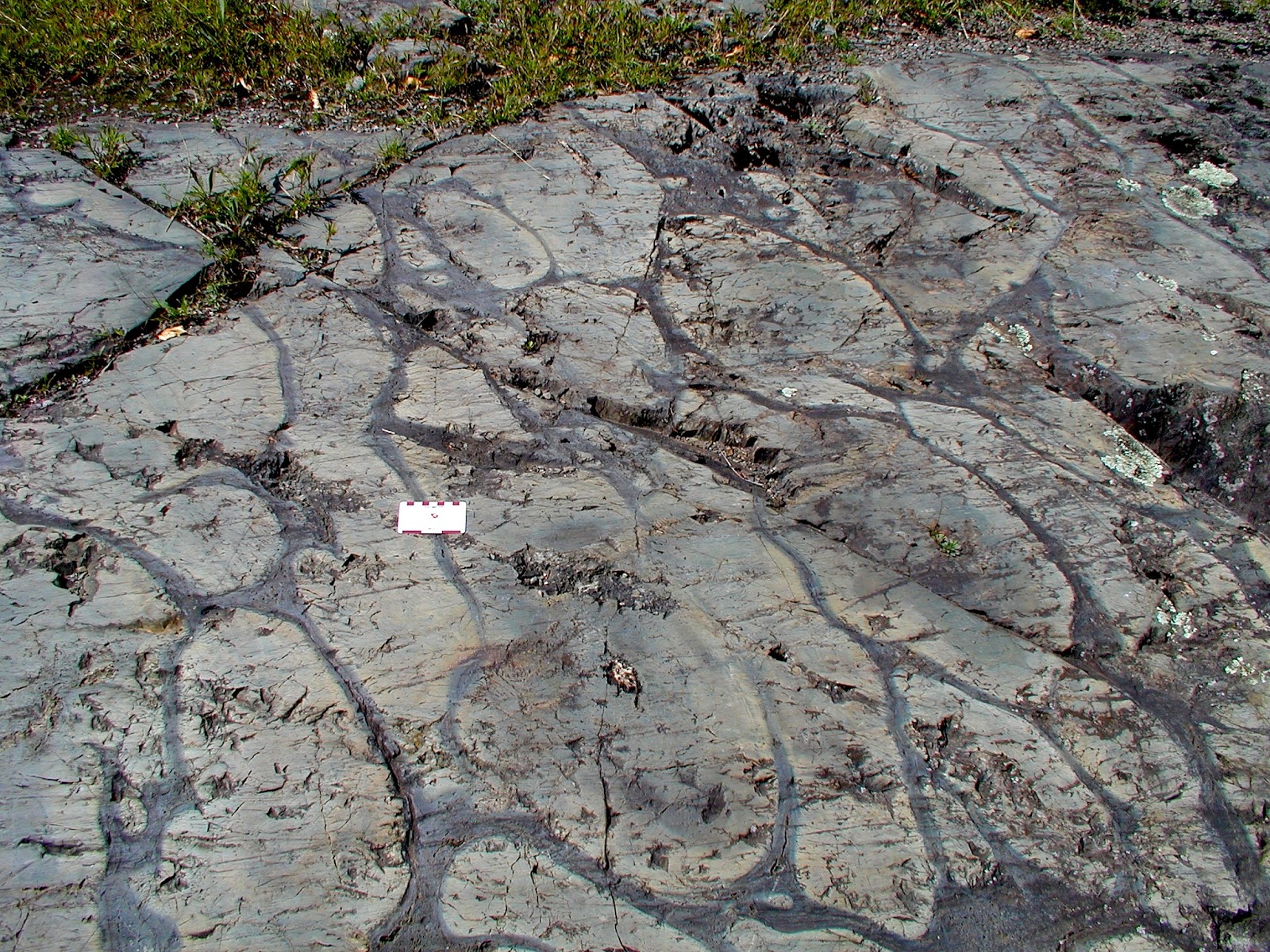 earthscienceguy: Minnesota Geology Monday - Pillowed Greenstone