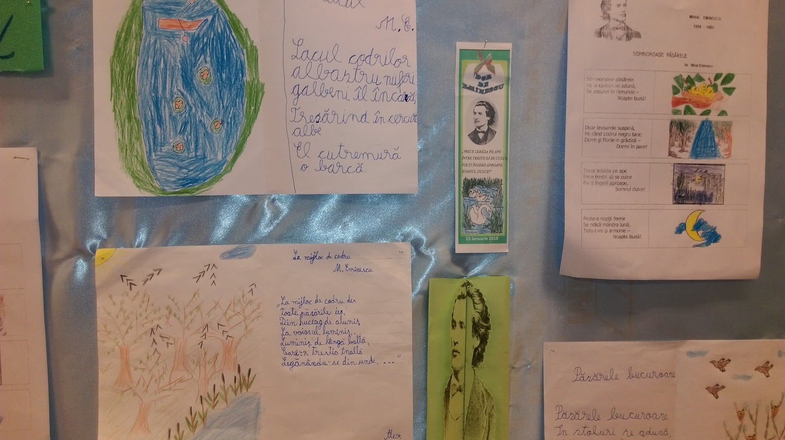 CLASA MEA: Proiecte educationale