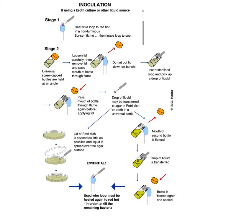 Medical Micro Biology
