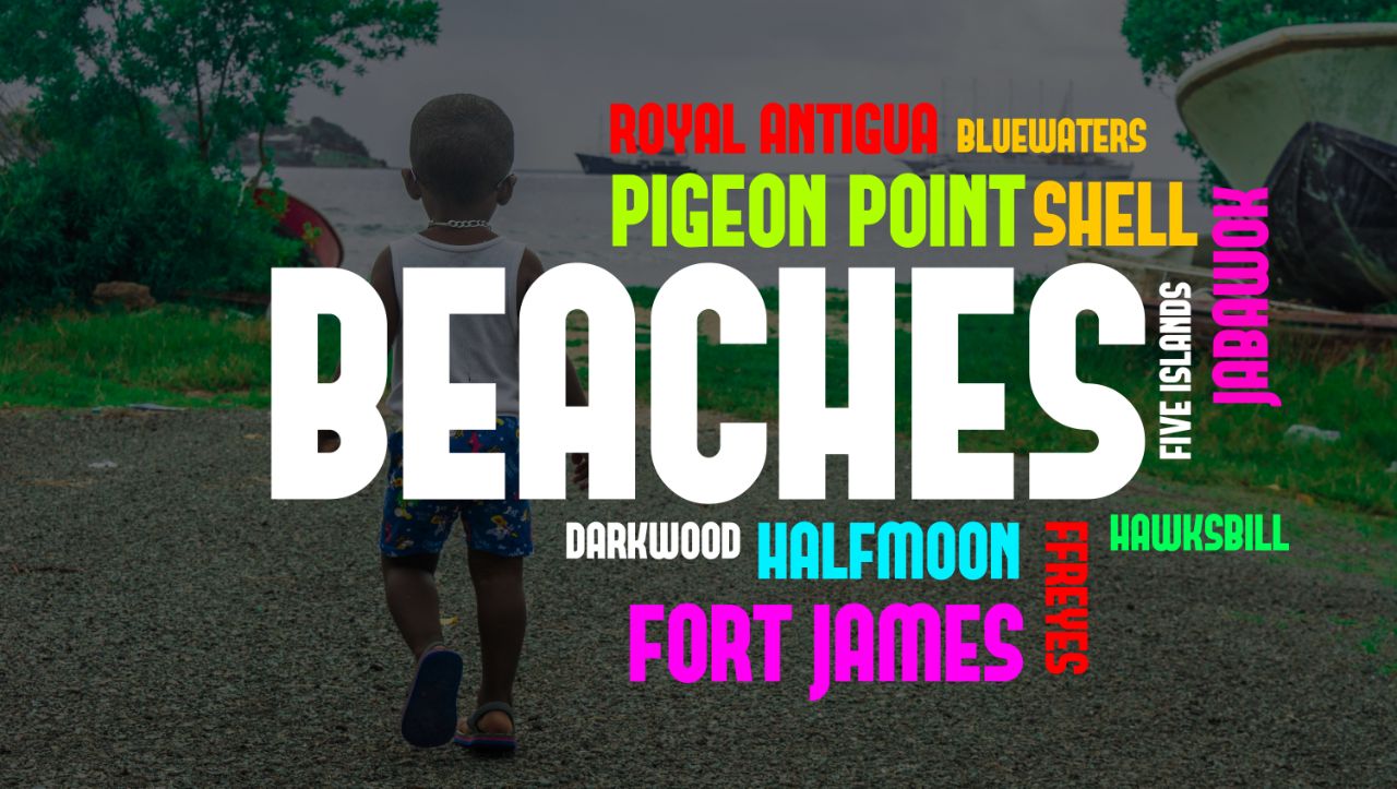 Mystery tech: Week ten: Mind- Mapping, Prezi and Wordle