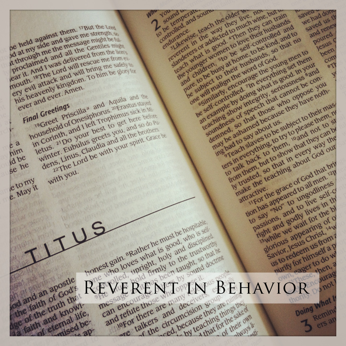 The Joy of Homemaking: Titus Study | Reverent in Behavior