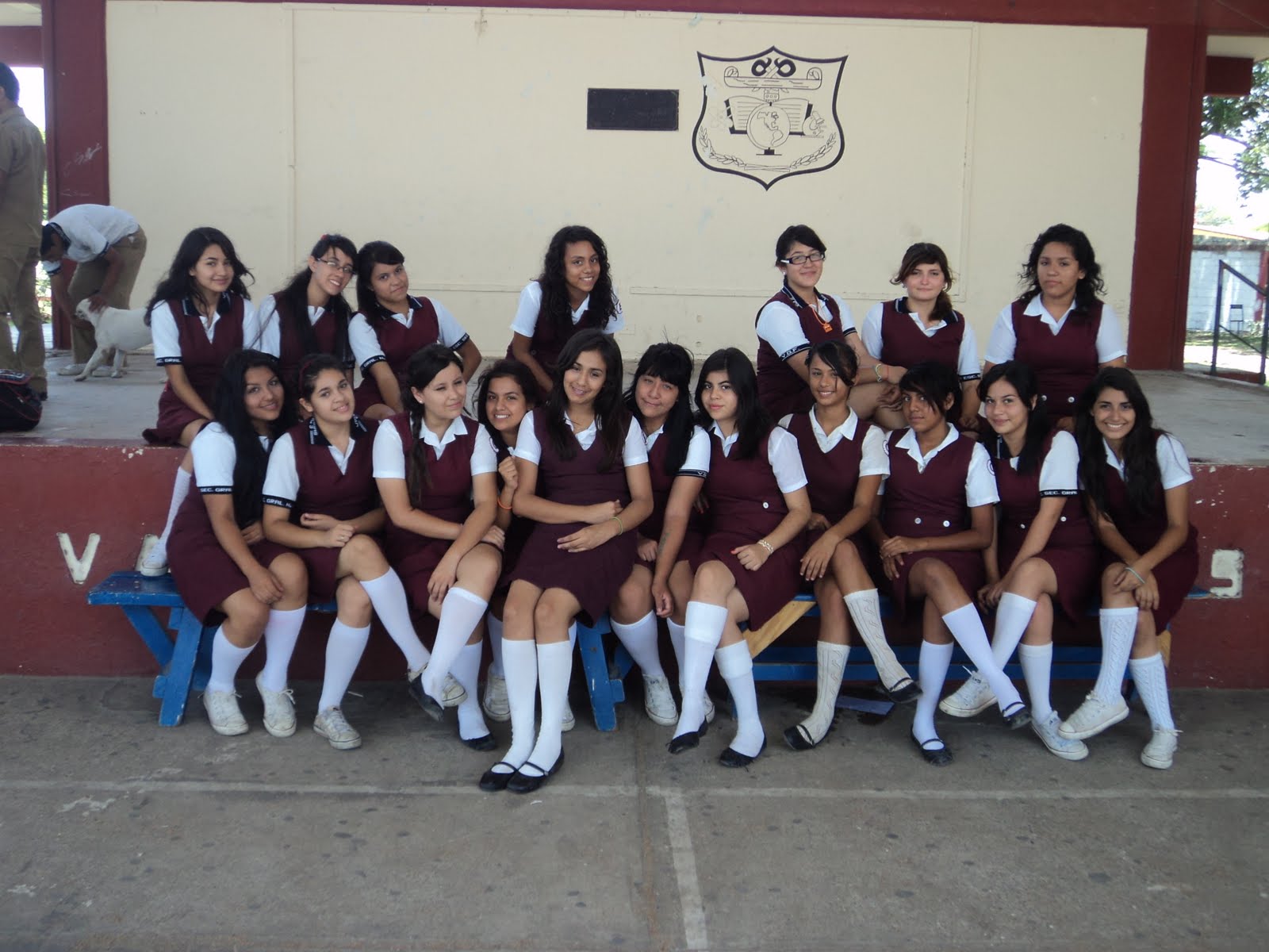 SECUNDARIA 3 MATEMATICAS: LA MATEMATICA