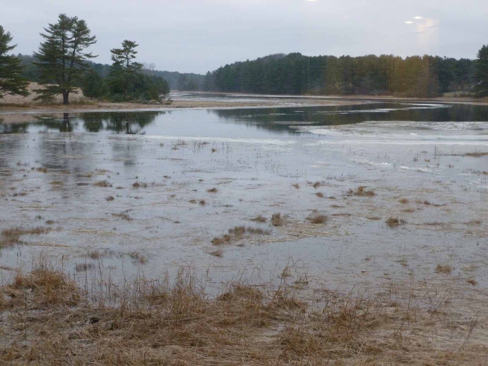 High Tide in the Salt Marsh: Winter Moving In To The Marsh