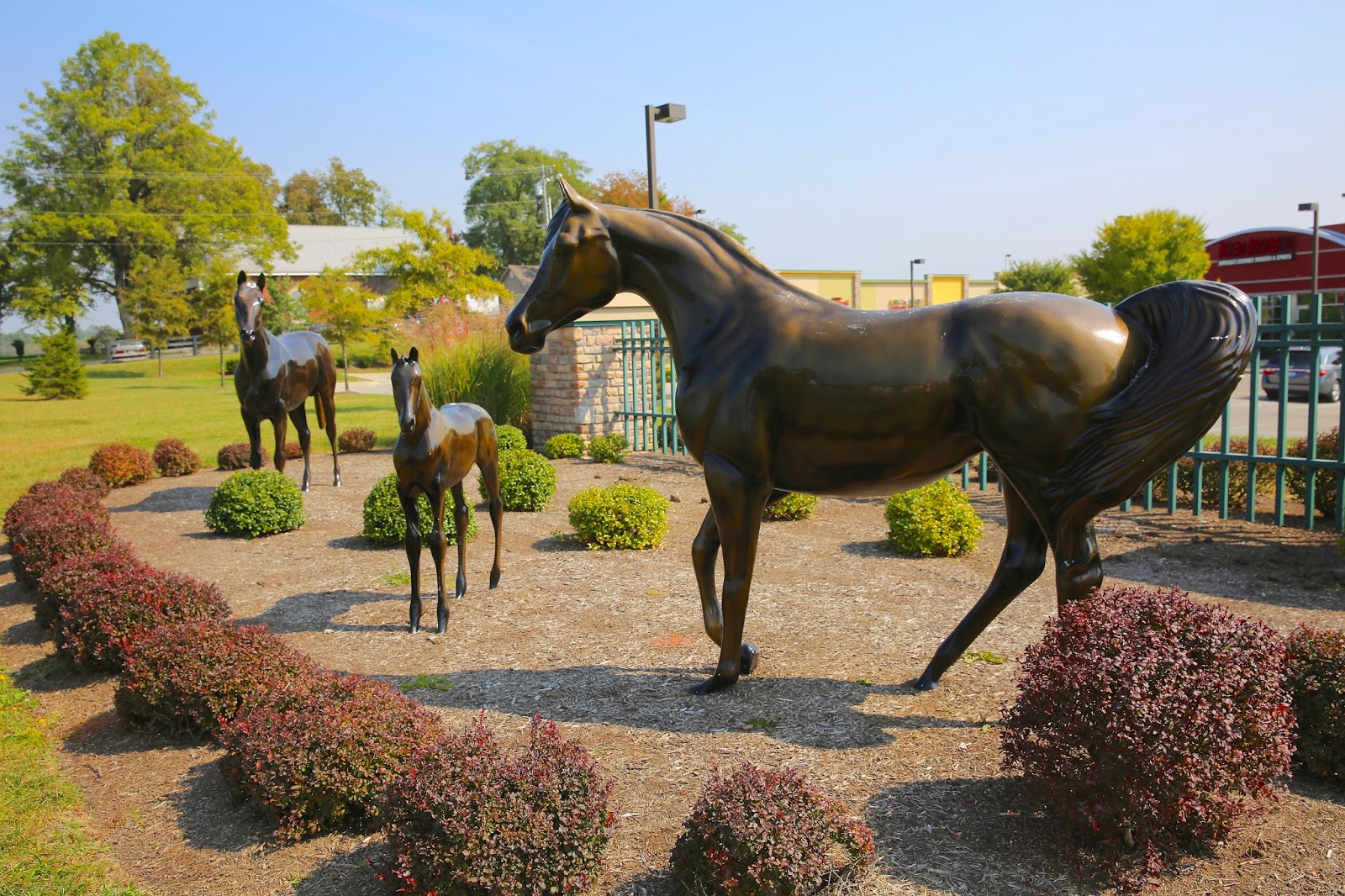 Sweet Southern Days: Scenic Backroads of Rural Kentucky