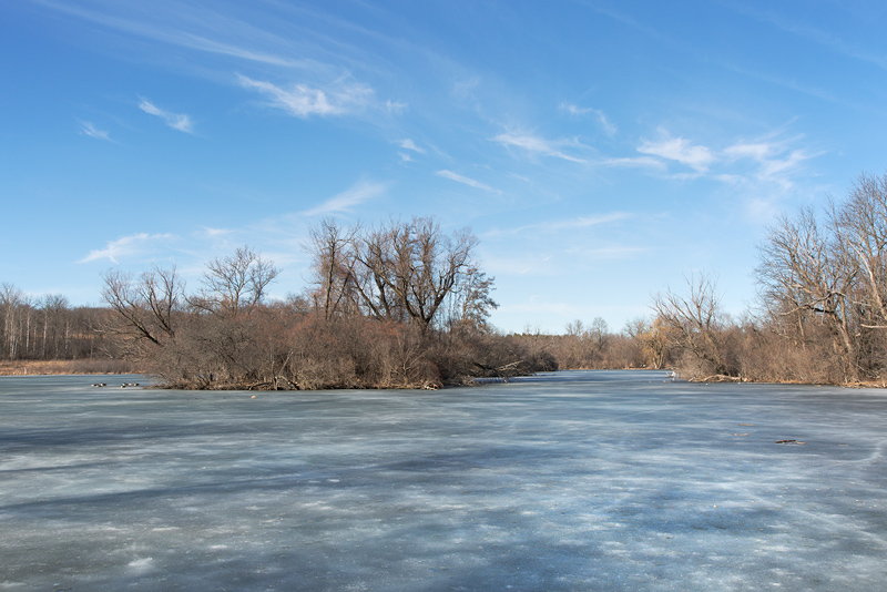 Urban Wilderness: February thaw at Wehr Nature Center