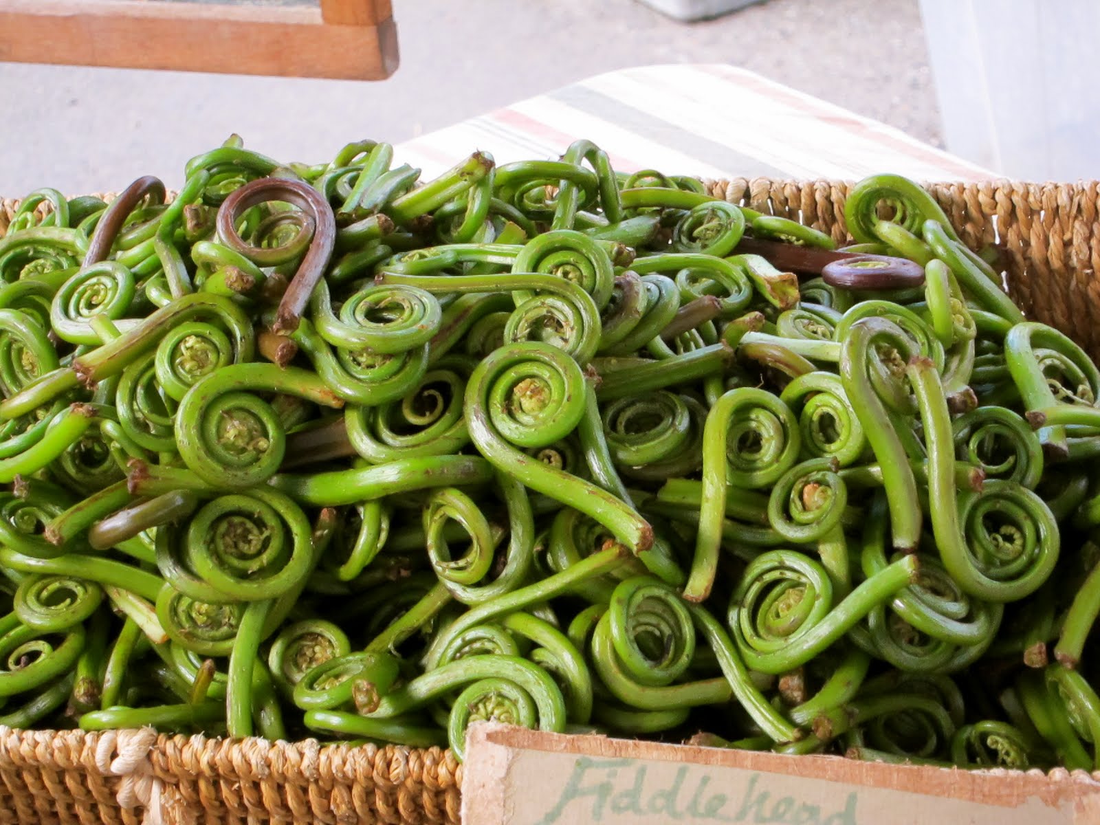 IN 1 BITE: An edible instrument!