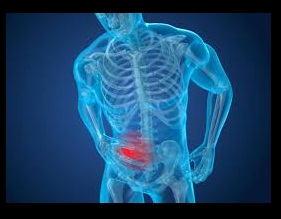 what is the Hepatitis disease?