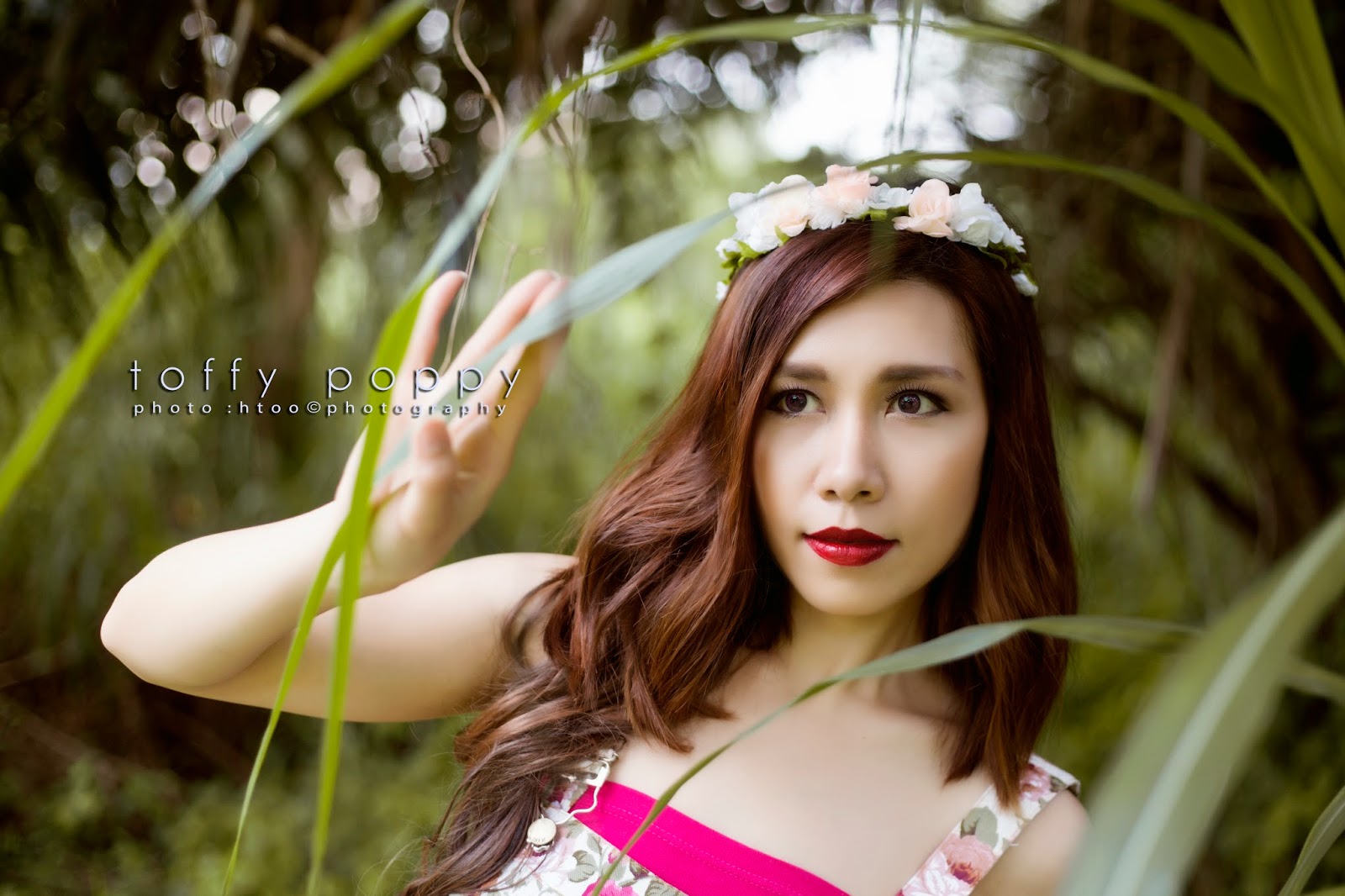 Htoo Aung Lwin Photo Gallery